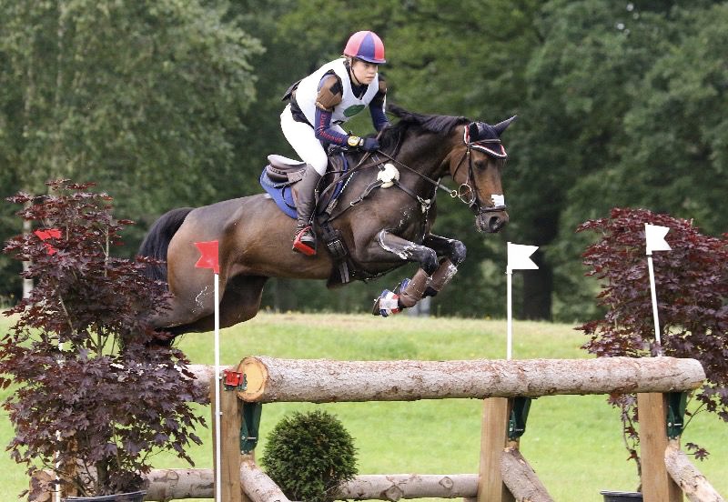 Eventing, Springen, Dressuur en Opfok | Stal Dukershoeve – Het trainen ...